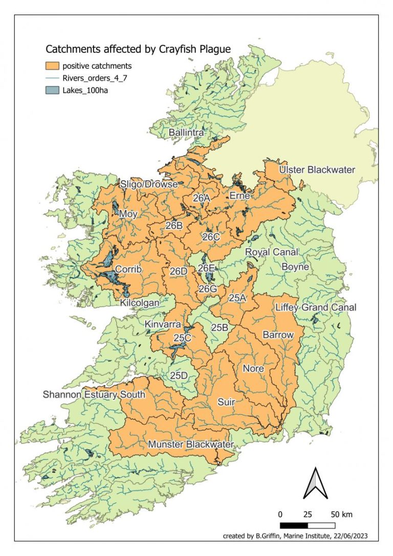 Crayfish plague - Invasives.ie