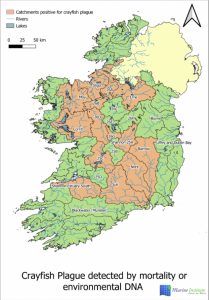 Crayfish plague - Invasives.ie