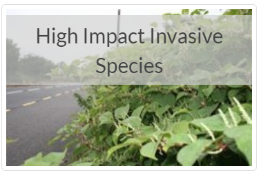 Ireland's Invasive Species - Invasives.ie