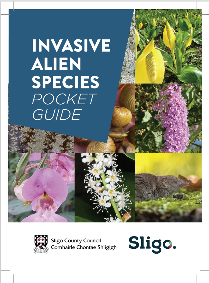 Identification guides - Invasives.ie