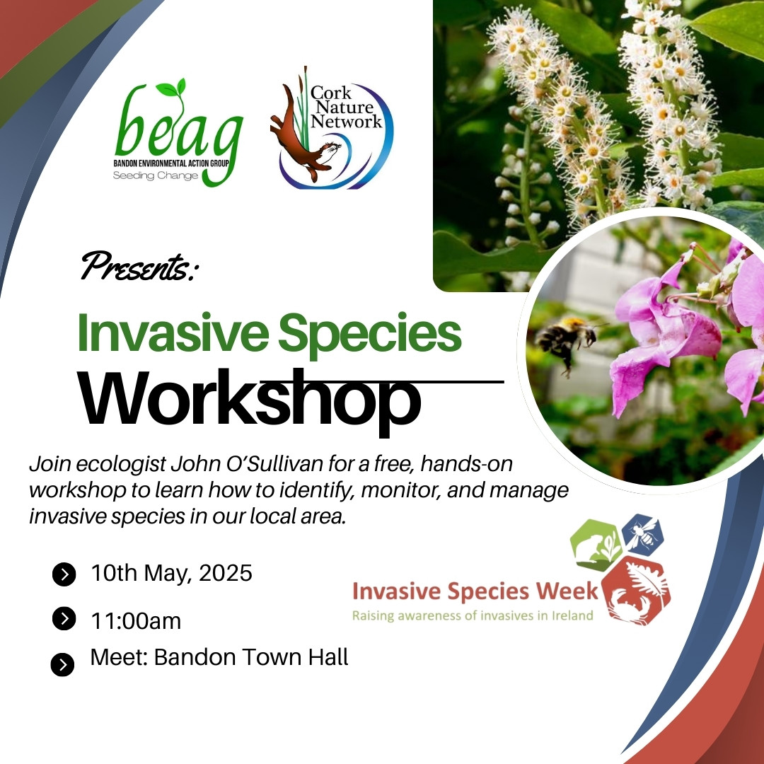 Invasive Species Workshop - Invasives.ie