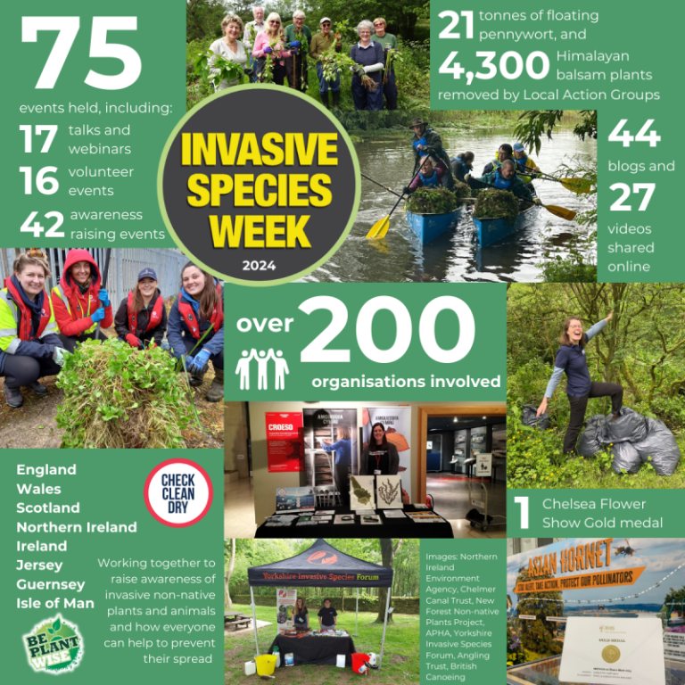 Invasive Species Week - Invasives.ie
